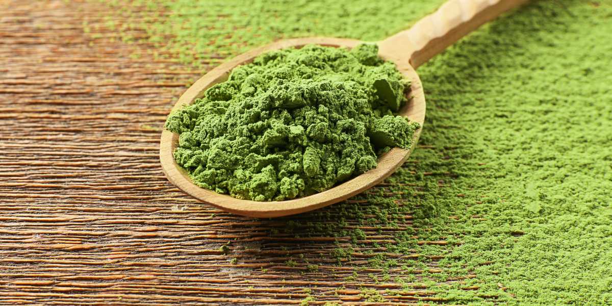 Hangover Pals | Natural Hangover Recovery Gummies | Fast Relief ...